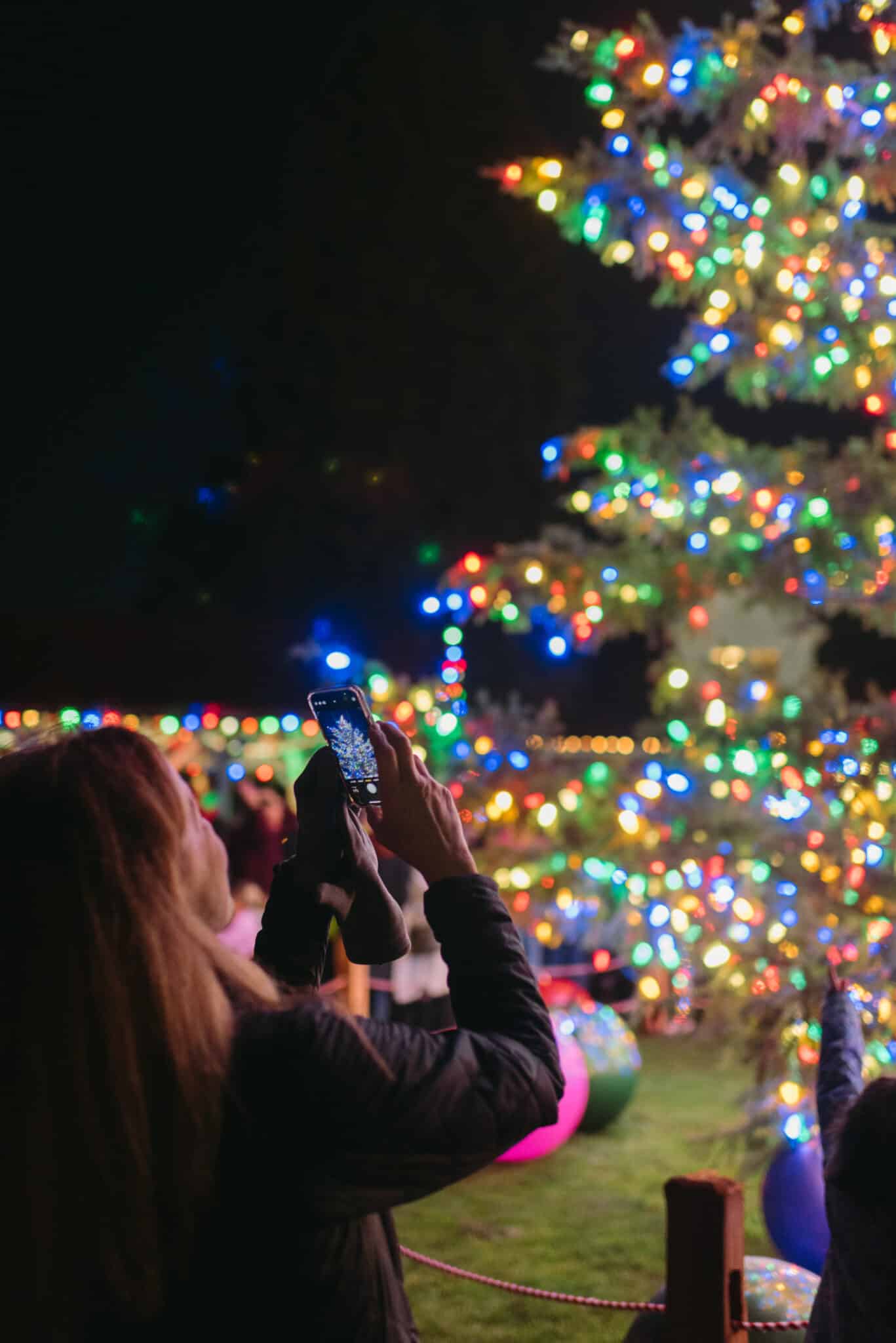 COOKIES & COCOA AT THE CITY TREE LIGHTING - Visit Gig Harbor, Washington